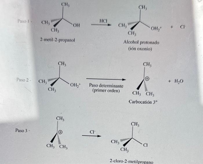 Solved Paso 1. HCl 2-metil-2-propanol Alcohol protonado | Chegg.com