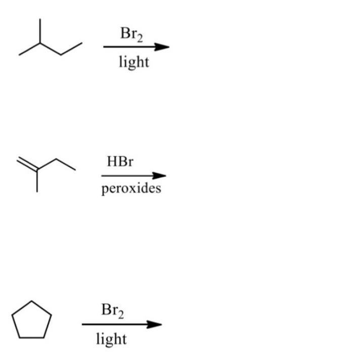 Solved light Br2 | Chegg.com
