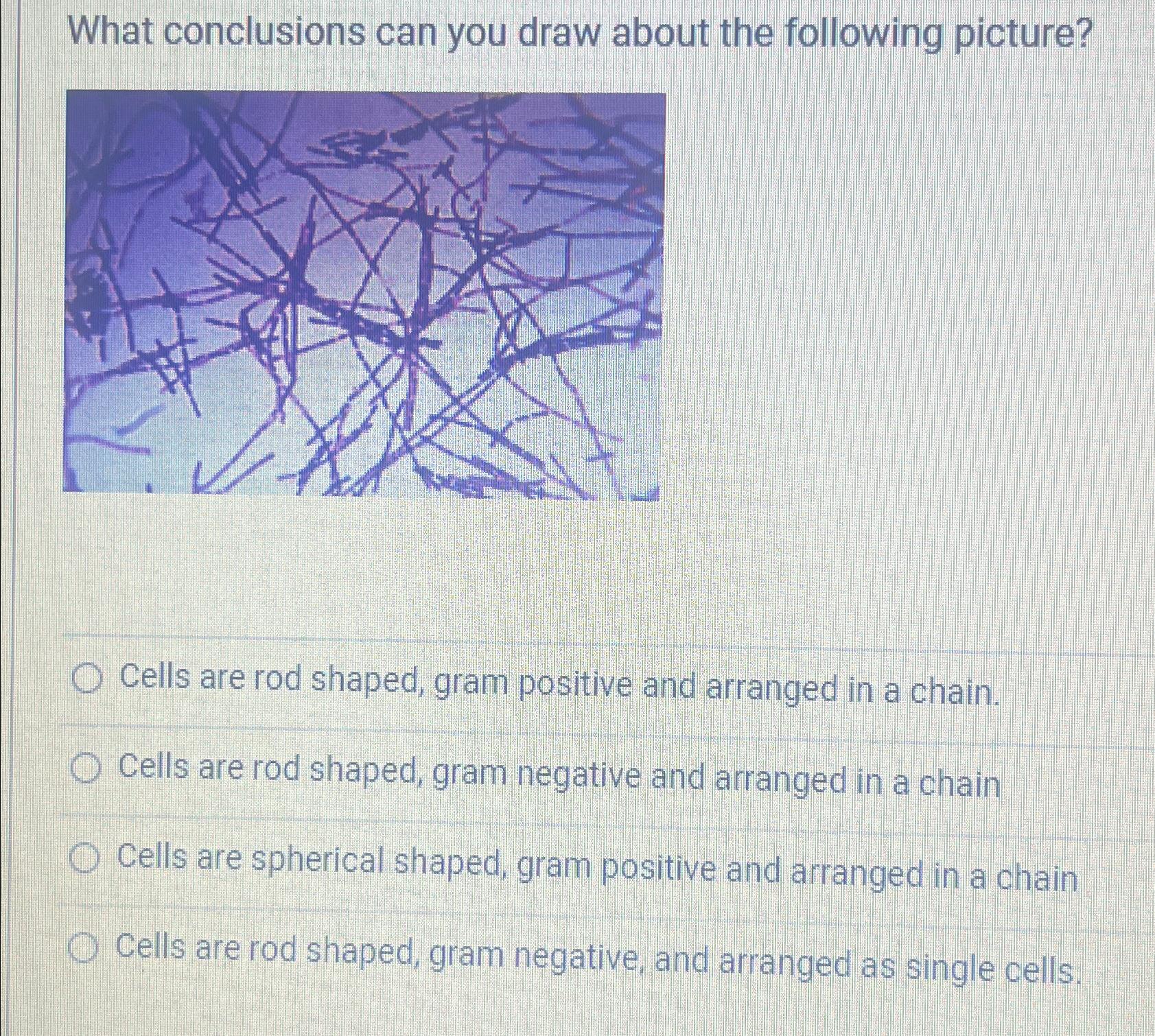 Solved What conclusions can you draw about the following | Chegg.com