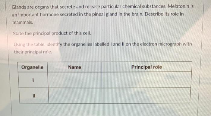 Solved The electron micrograph shows the structures in an | Chegg.com