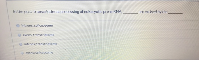 Solved In the post-transcriptional processing of eukaryotic | Chegg.com