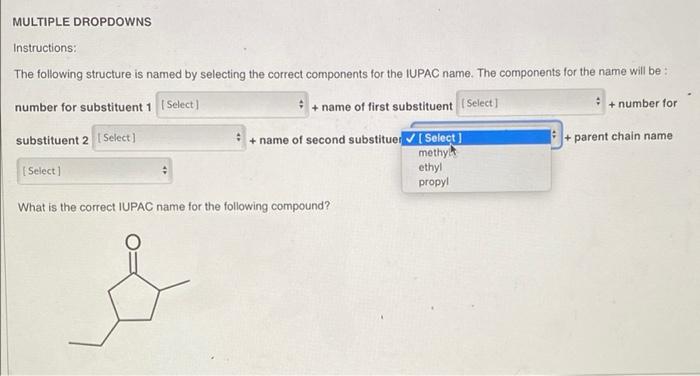 Solved MULTIPLE DROPDOWNS Instructions: The following | Chegg.com