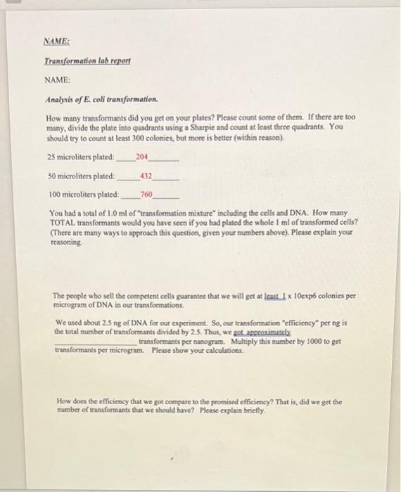 Solved NAME: Transformation lab report NAME: Analysis of E. | Chegg.com