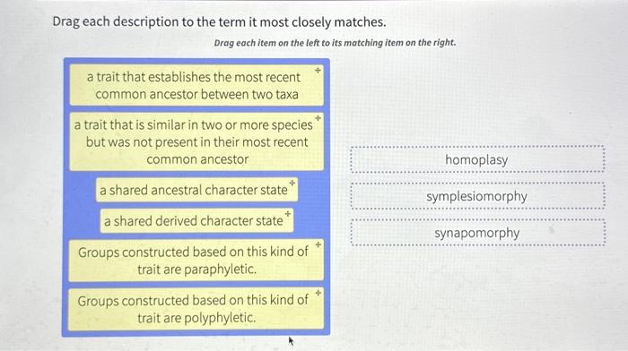 pleaee mathc fhe following to each of the sections in | Chegg.com
