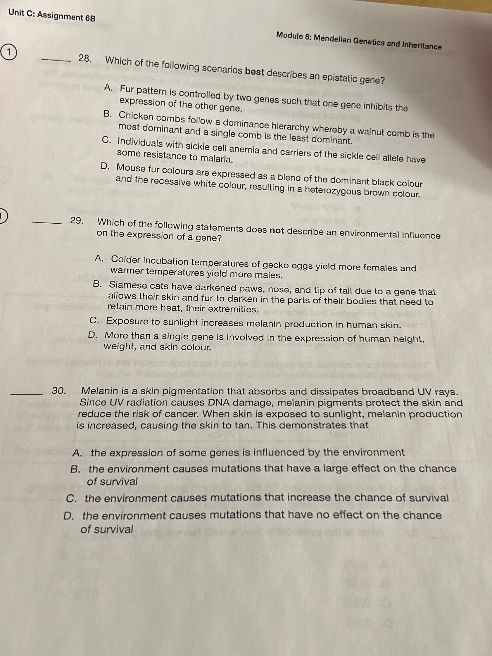 Solved Unit C: Assignment 6BModule 6: Mendelian Genetics and | Chegg.com