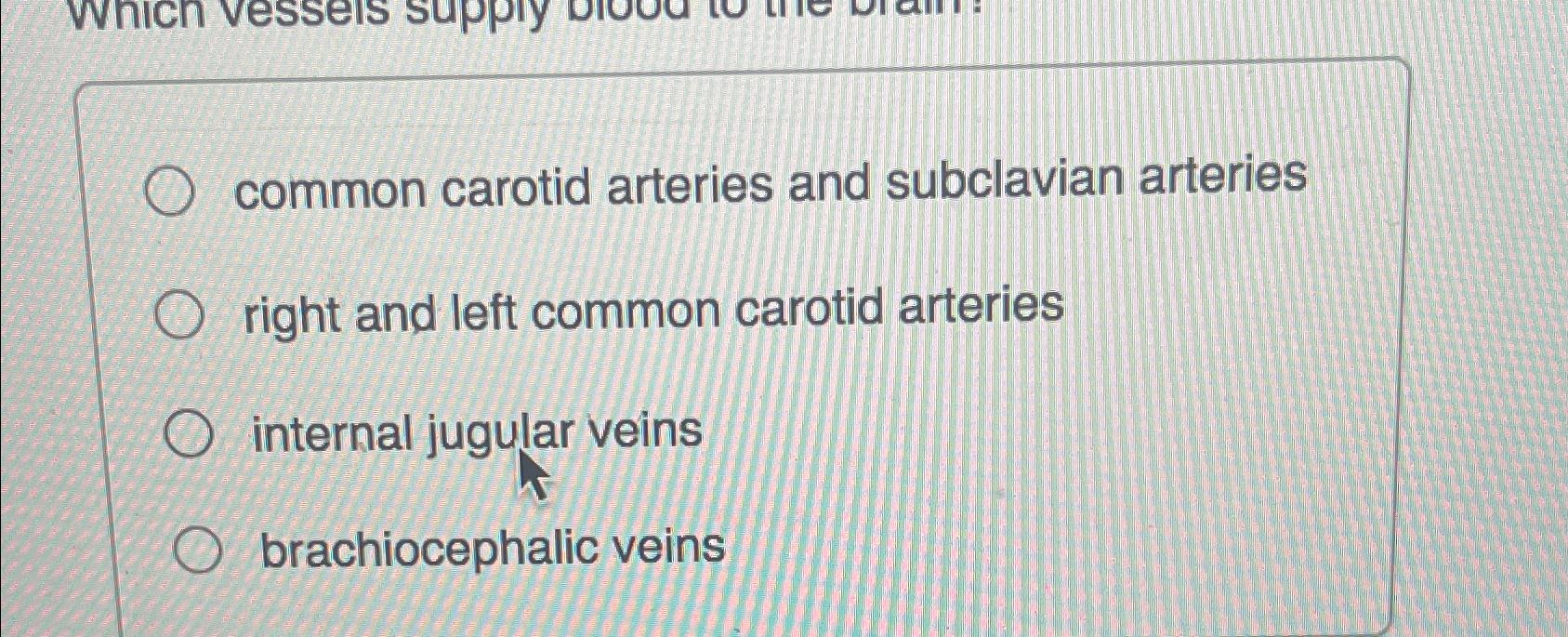 Solved common carotid arteries and subclavian arteriesright | Chegg.com