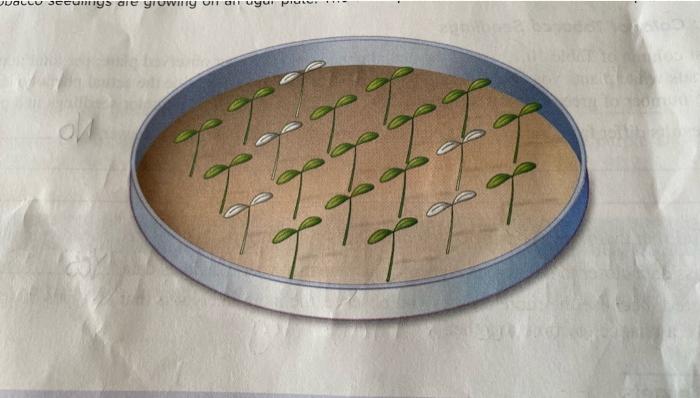 Fill out the chart using the images provided. Answer | Chegg.com