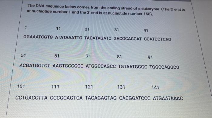 Solved The DNA sequence below comes from the coding strand | Chegg.com