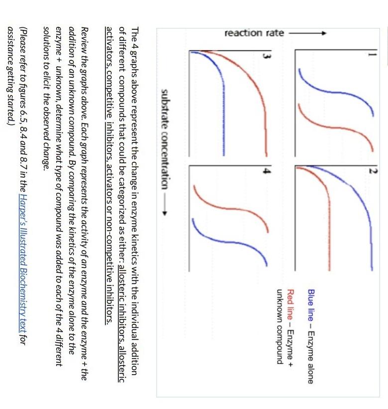 Solved The 4 graphs above represent the change in enzyme | Chegg.com