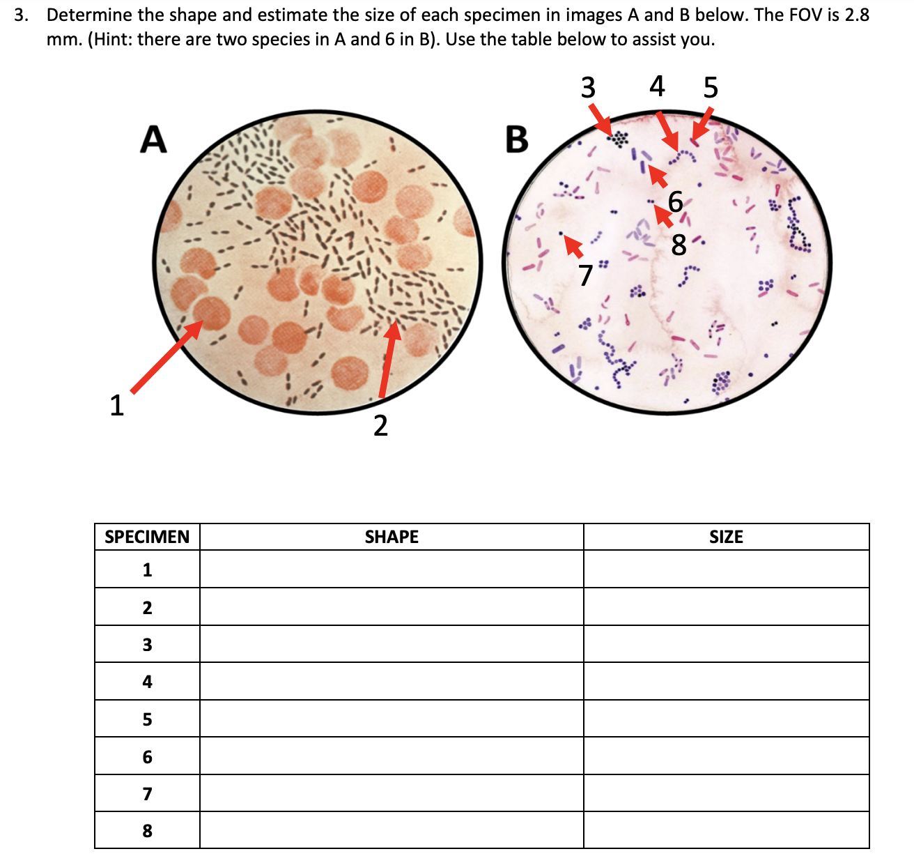 Determine the shape and estimate the size of each | Chegg.com