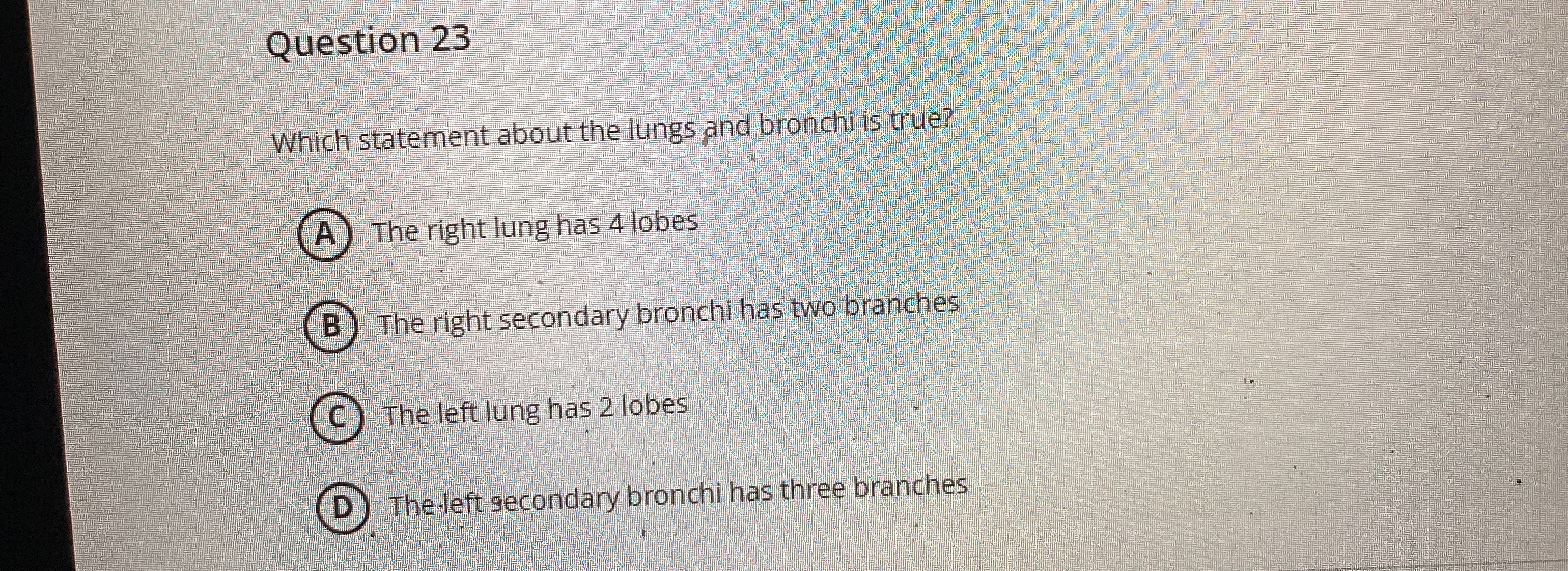 Solved Question 23Which statement about the lungs and | Chegg.com