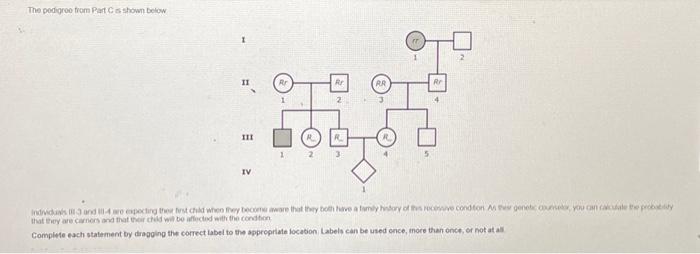 Solved The pedigree from part C is shown belowindividuals | Chegg.com