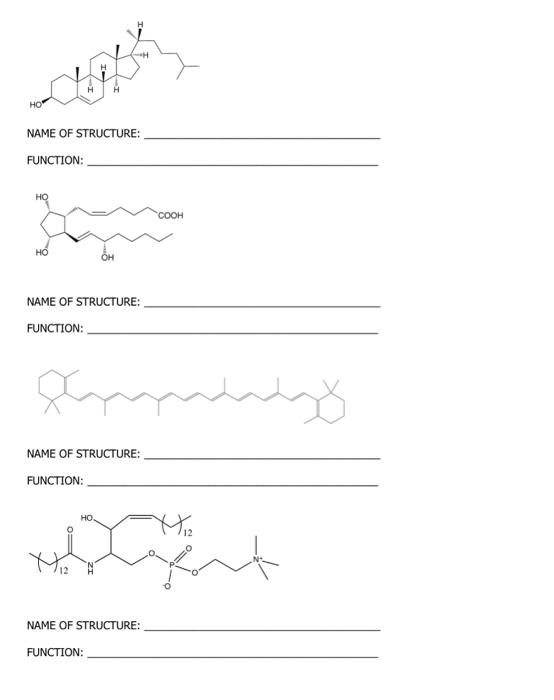 NAME OF STRUCTURE: FUNCTION: NAME OF STRUCTURE: | Chegg.com