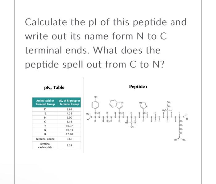 Solved Calculate the pl of this peptide and write out its | Chegg.com