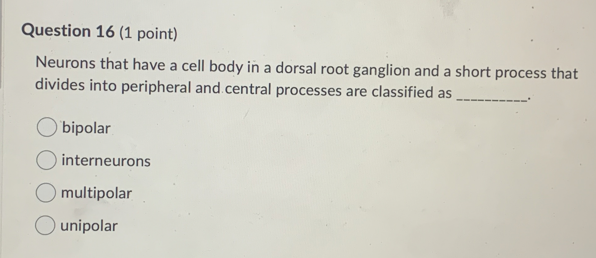 Solved Question 16 (1 ﻿point)Neurons that have a cell body | Chegg.com