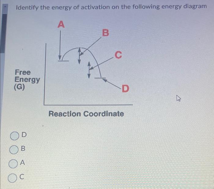 Solved Identify the energy of activation on the following | Chegg.com