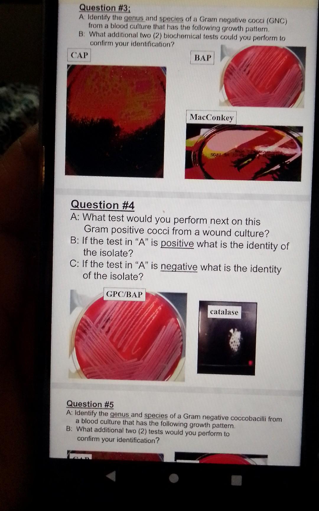 Solved Question #1 A B C D E Nitrate reagent A & B has been | Chegg.com