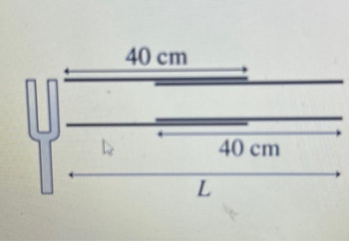 Solved A 40- cm-long tube has a 40−cm-long insert that can | Chegg.com