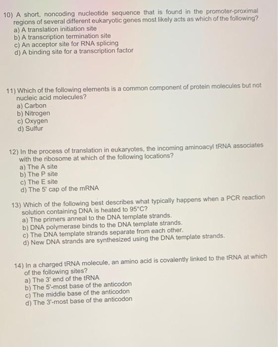 Solved 10) A short, noncoding nucleotide sequence that is | Chegg.com