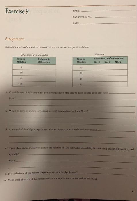 Solved Review Questions 8 NAME LAB SECTION NO. DATE 1. In | Chegg.com
