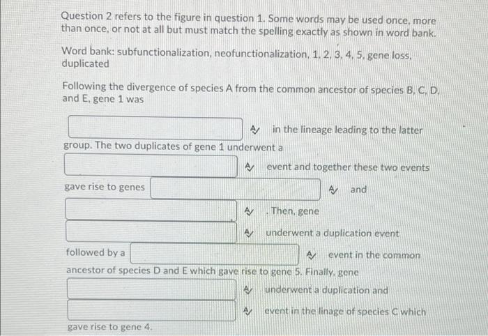 Solved Word bank: subfunctionalization, | Chegg.com