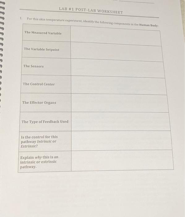 Solved LAB H1 POST-LAB WORKSHEET 1. For this skin | Chegg.com