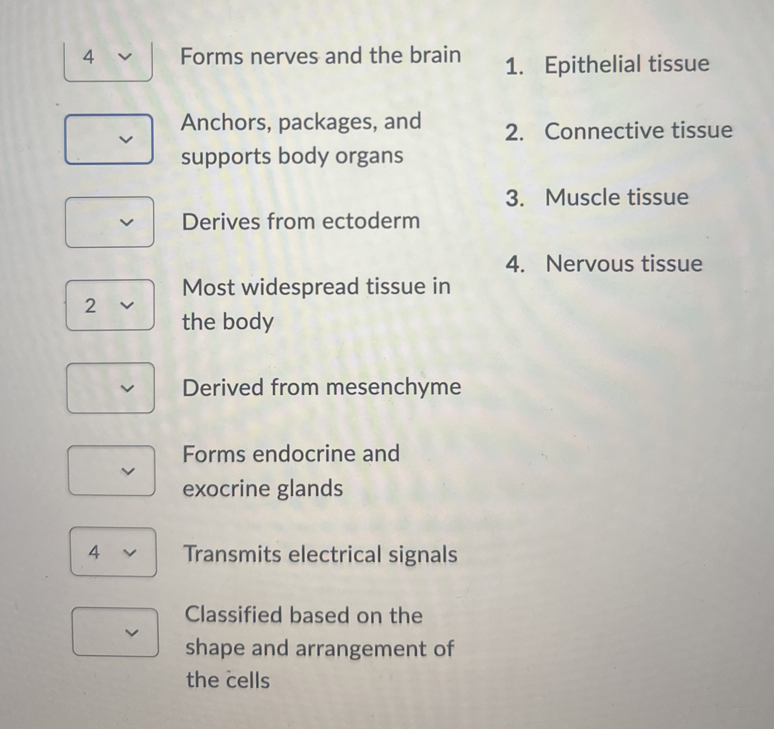 Solved Forms nerves and the brain Anchors, packages, and | Chegg.com