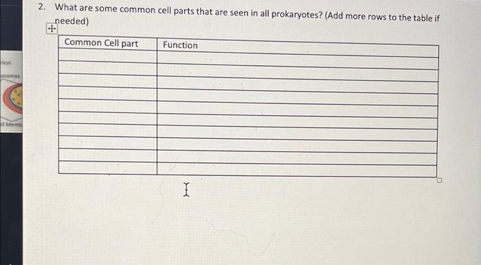 Solved 2. What are some common cell parts that are seen in | Chegg.com