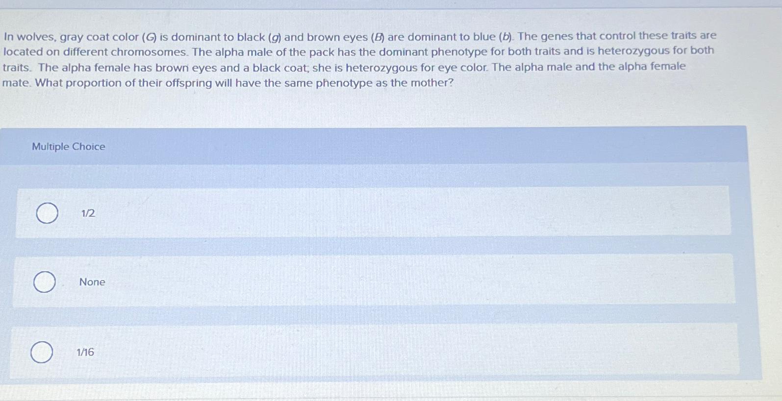 Solved In wolves, gray coat color (G) ﻿is dominant to black | Chegg.com
