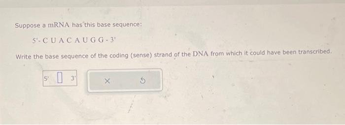Solved Suppose the template (antisense) strand of some DNA | Chegg.com