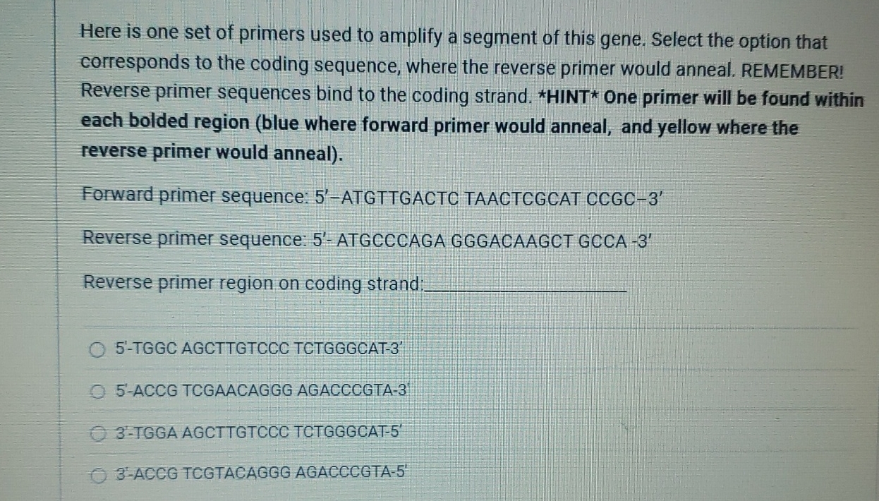 High Quality SOLUTION Here is one set of primers used to amplify a segment | Chegg.com