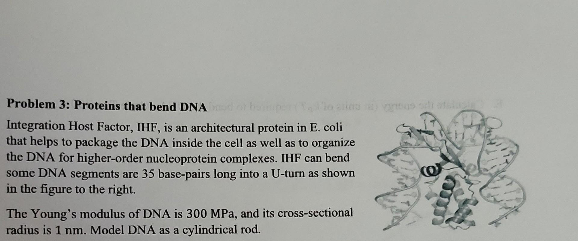 Solved Problem 3: Proteins that bend DNA Integration Host | Chegg.com