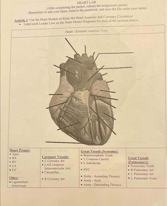 Solved HEARTLAB (After completing the packet, submit the | Chegg.com
