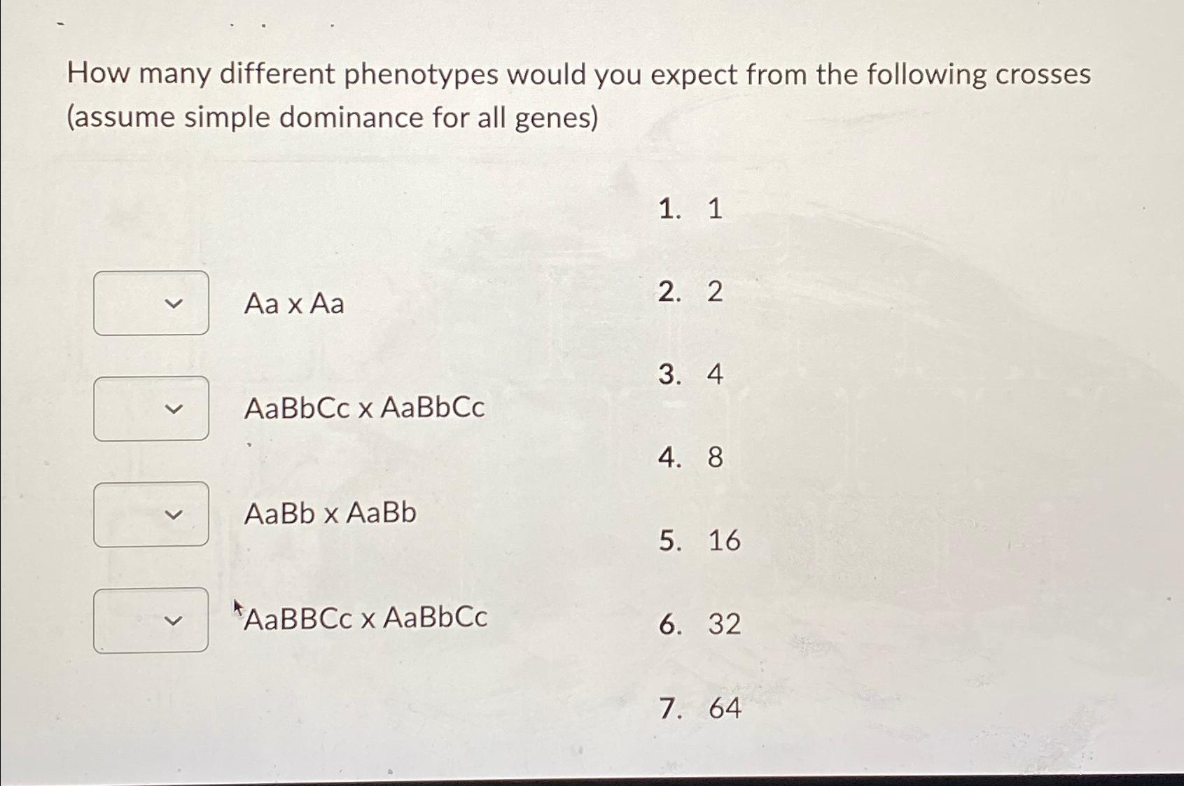 Solved How many different phenotypes would you expect from | Chegg.com