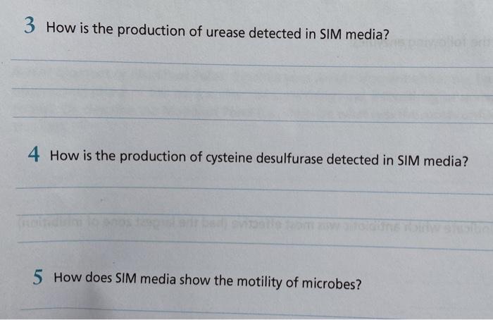 Solved 3 How is the production of urease detected in SIM | Chegg.com