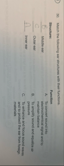 Solved Match the following ear structures with their | Chegg.com