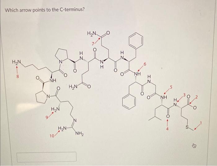 Solved Which Arrow Points To The C Terminus