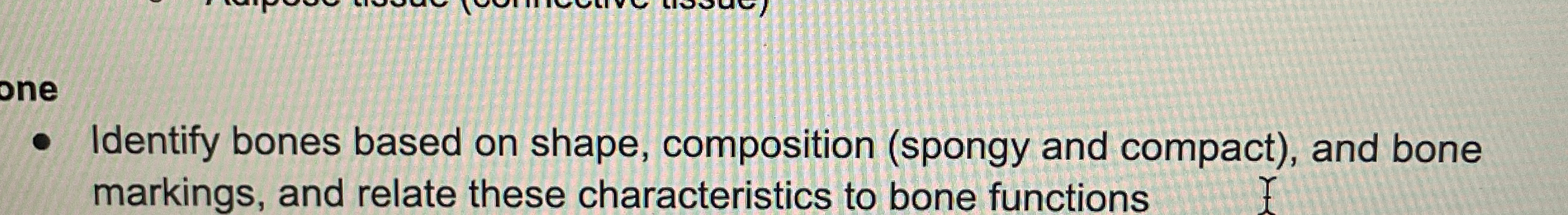 Solved Identify bones based on shape, composition (spongy | Chegg.com