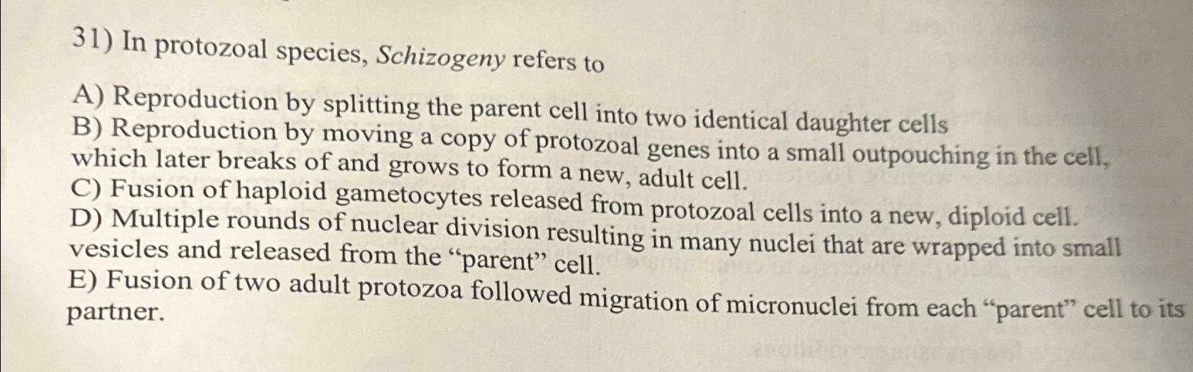 In protozoal species, Schizogeny refers toA) | Chegg.com