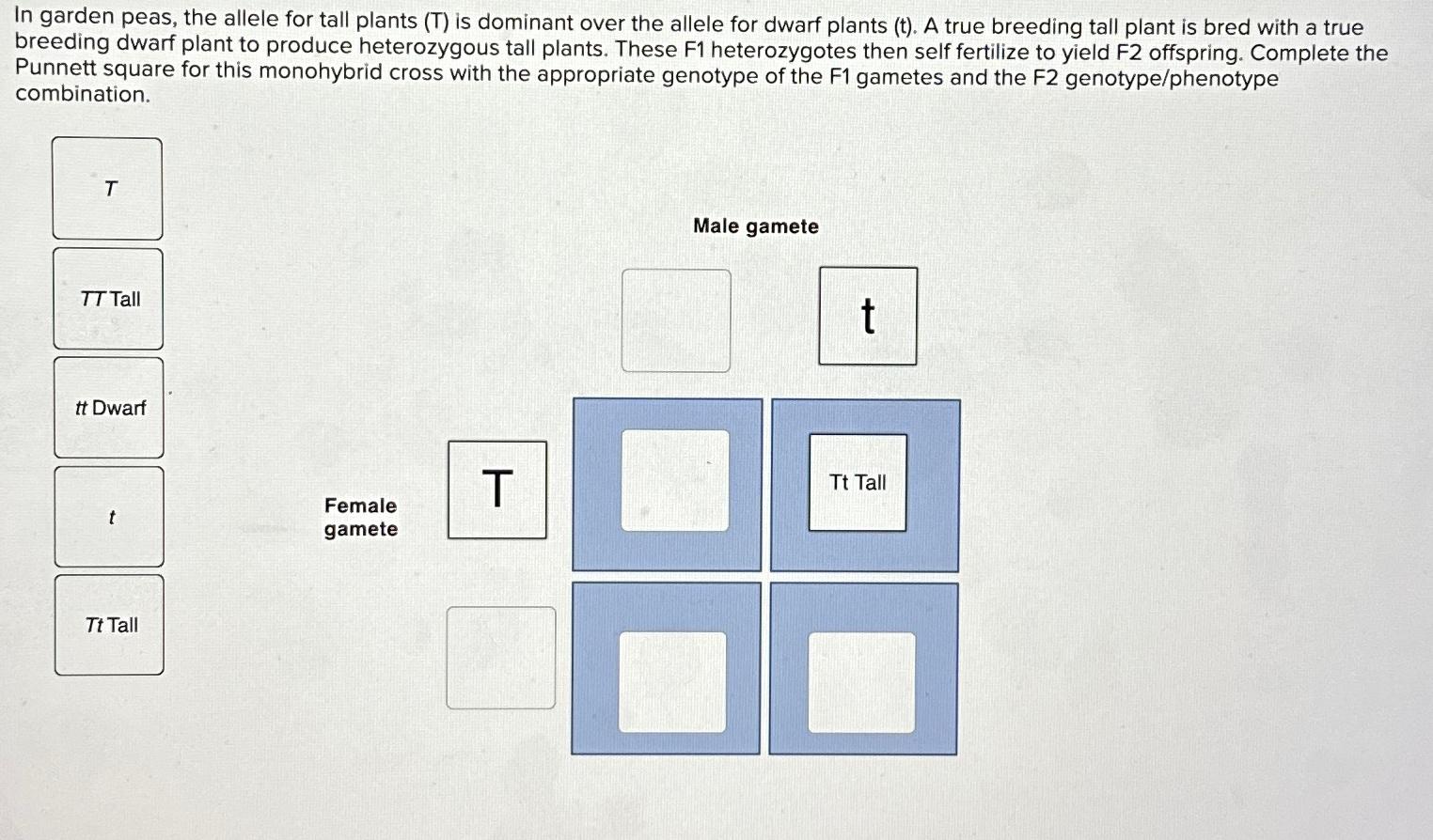 Solved In garden peas, the allele for tall plants (T) ﻿is | Chegg.com