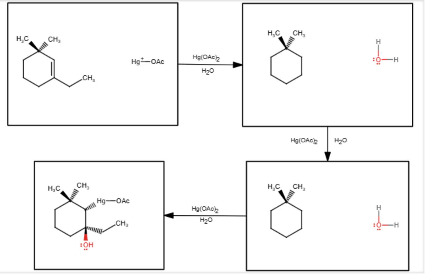Solved 1-Ethyl-3,3-dimethylcyclohex-1-ene undergoes | Chegg.com