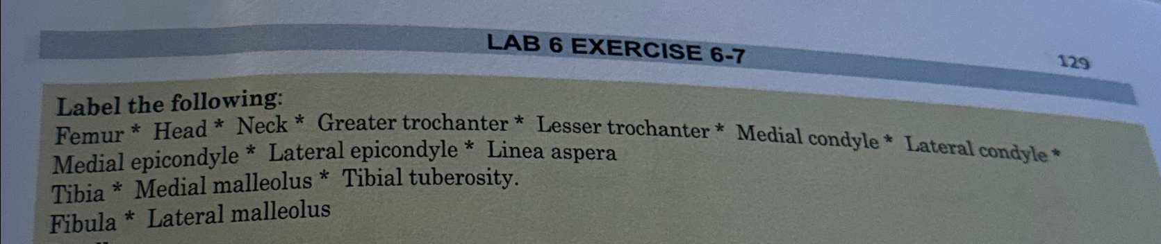 Solved LAB 6 ﻿EXERCISE 6-7129Label the following:Femur * | Chegg.com