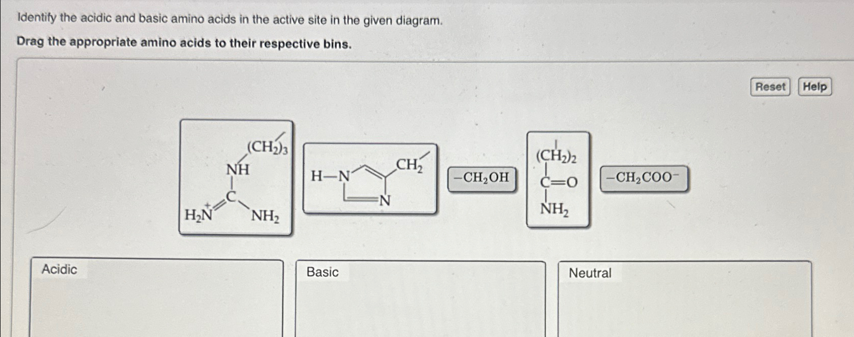 Solved Identify the acidic and basic amino acids in the | Chegg.com