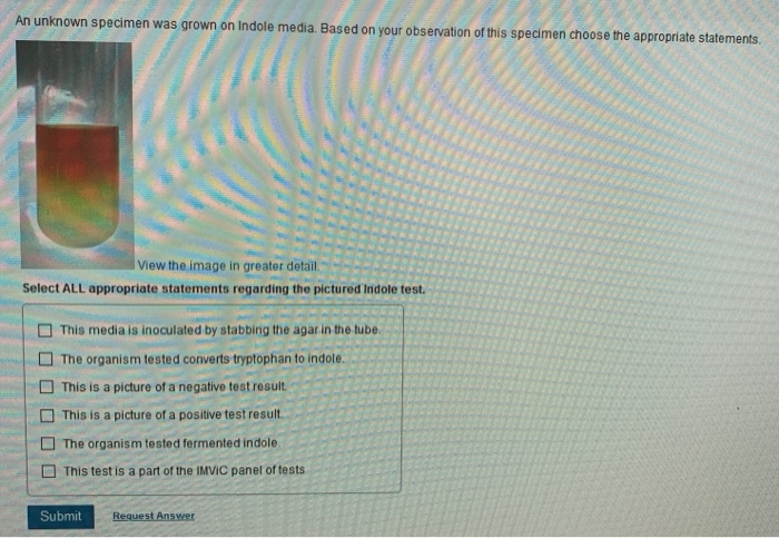 Solved An unknown specimen was grown on Indole media. Based | Chegg.com