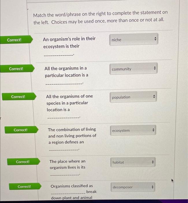 Solved Correct! Correct! Correct! Correct! Correct! Correct! | Chegg.com