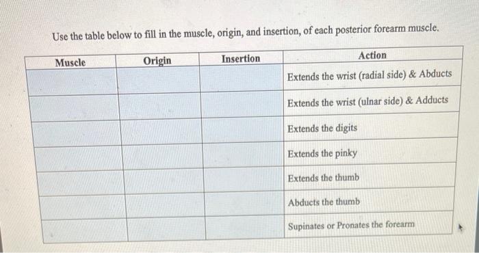 Solved Use the table below to fill in the muscle, origin, | Chegg.com