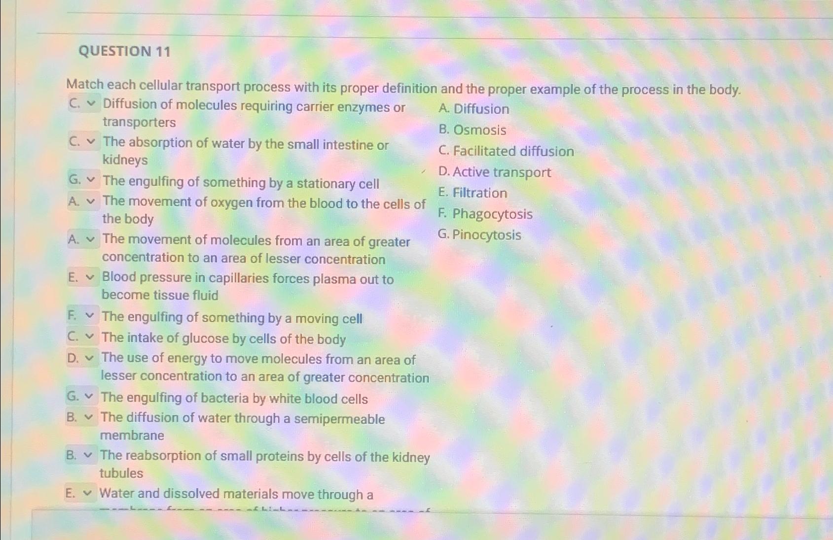 Solved QUESTION 11Match each cellular transport process with | Chegg.com