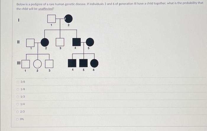 Solved Below is a pedigree of a rare human genetic disease. | Chegg.com