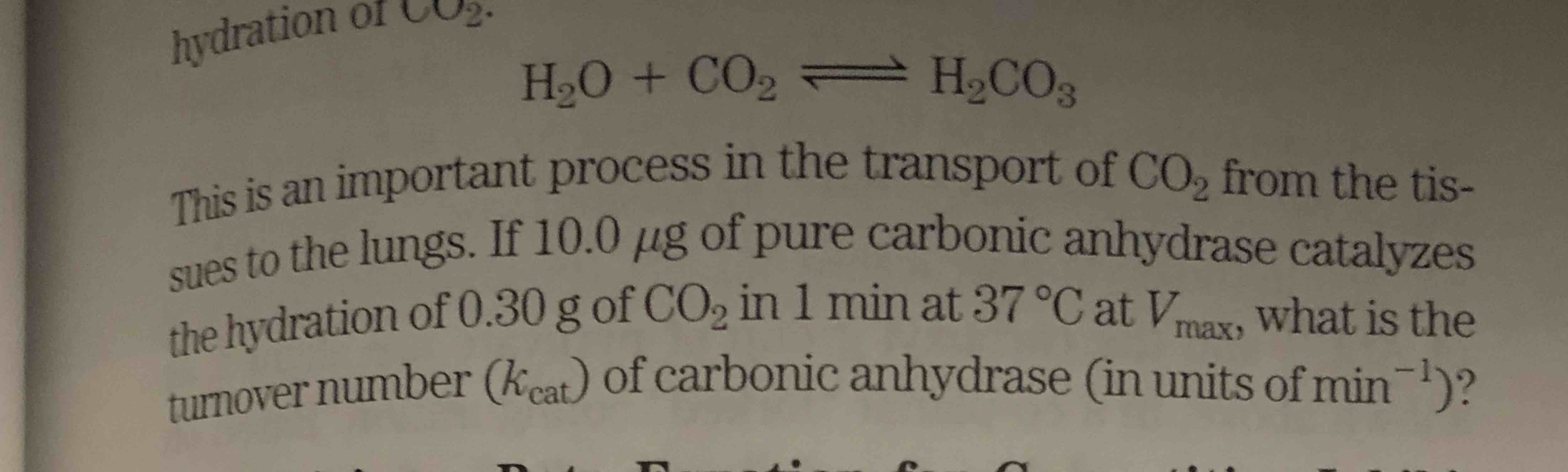 Solved The turnover number of carbonic anhydrase. Carbonic | Chegg.com