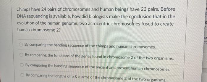 Solved Chimps have 24 pairs of chromosomes and human beings | Chegg.com
